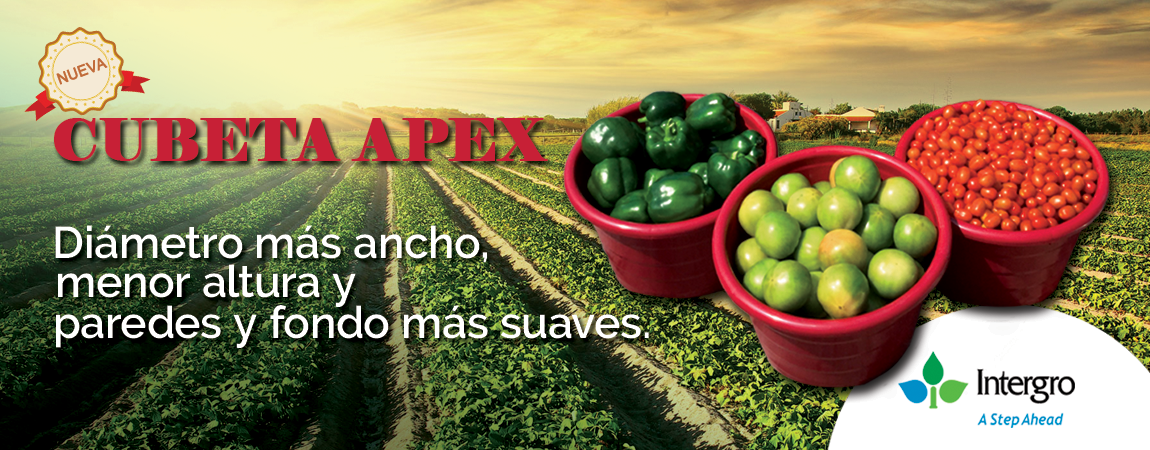CONTENEDORES PARA COSECHA – Intergro | Agriculture Mulch Film ...